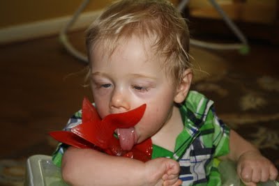 Silly Little Fish – A New Version of Me